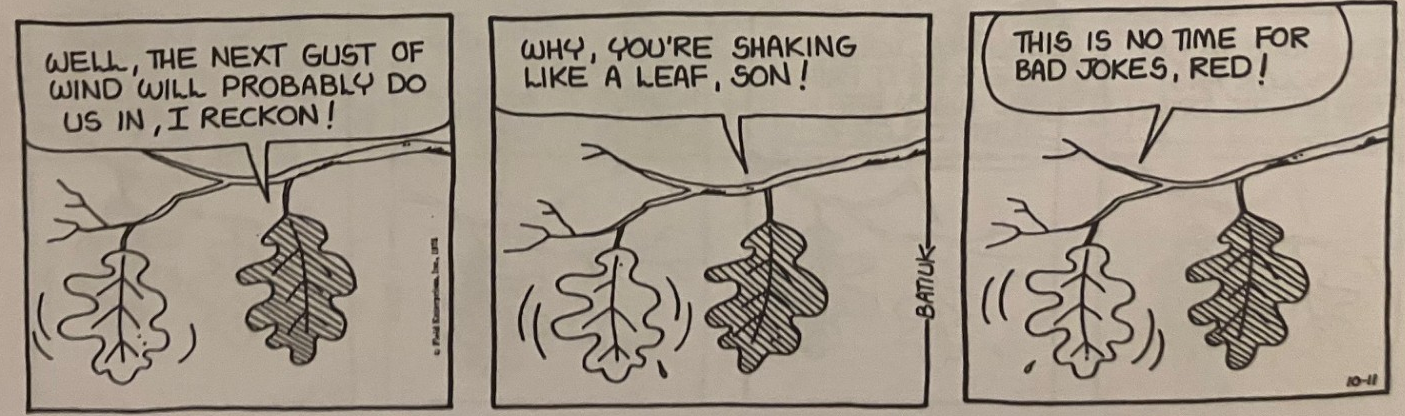 Son of Stuck Funky – The web's premiere source for Funky Winkerbean snark